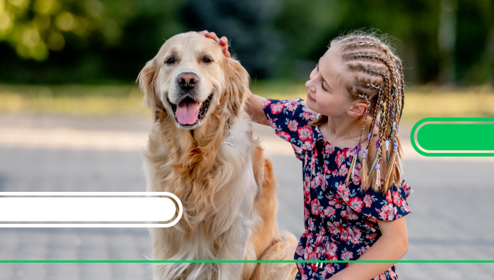 Seborrea en perros: Causas y tratamiento