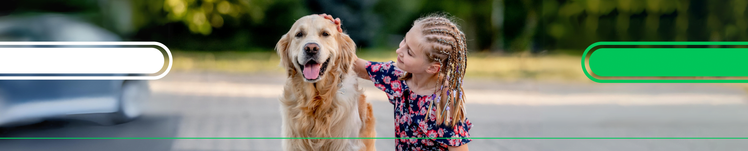 Seborrea en perros: Causas y tratamiento