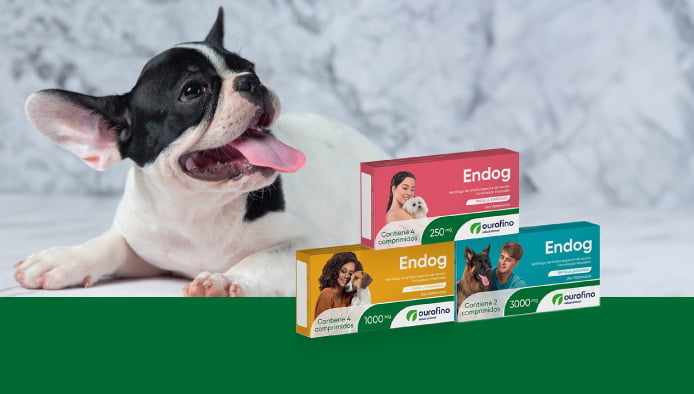 Endog: La solución segura para desparasitar perros