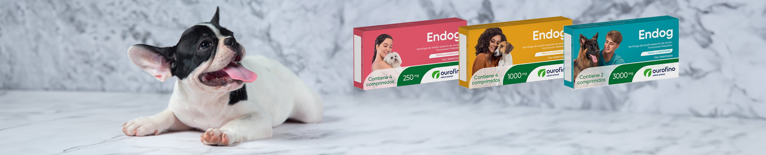 Endog: La solución segura para desparasitar perros