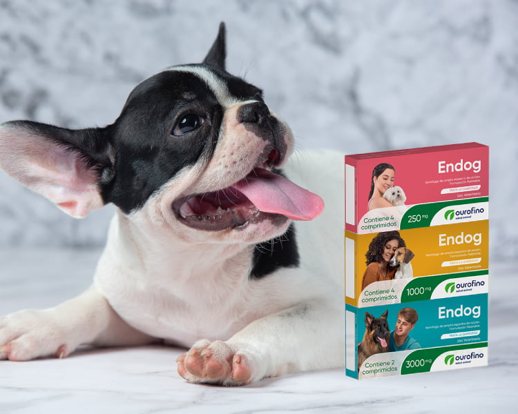 Endog: La solución segura para desparasitar perros